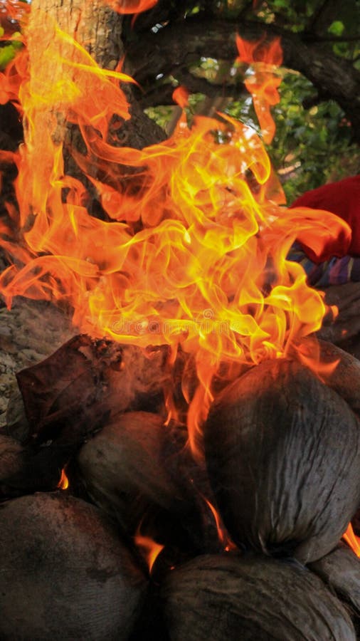 A Fire Burning in Coconut Husks Stock Image - Image of campfire ...