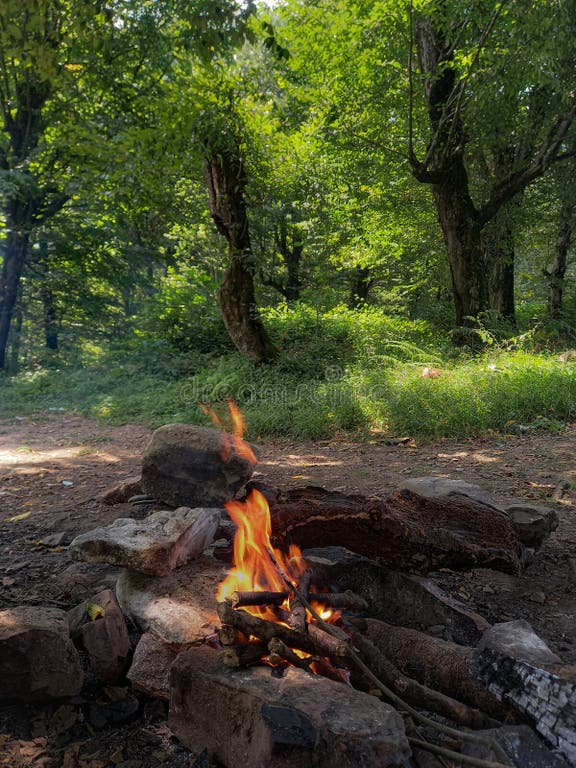 Fire Fire Burning Deep in the Heart of the Forest Stock Photo - Image ...