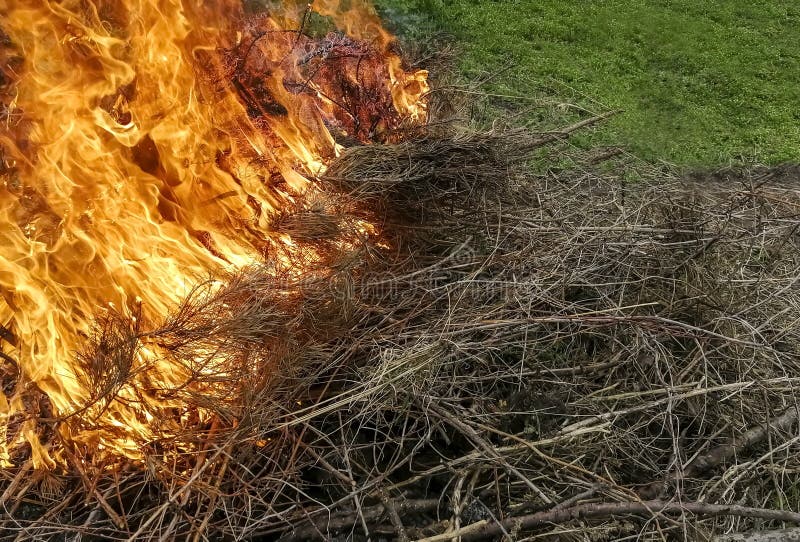 Fire. Burning Dry Branches. Spring Works in the Garden. Dangerous Fire ...