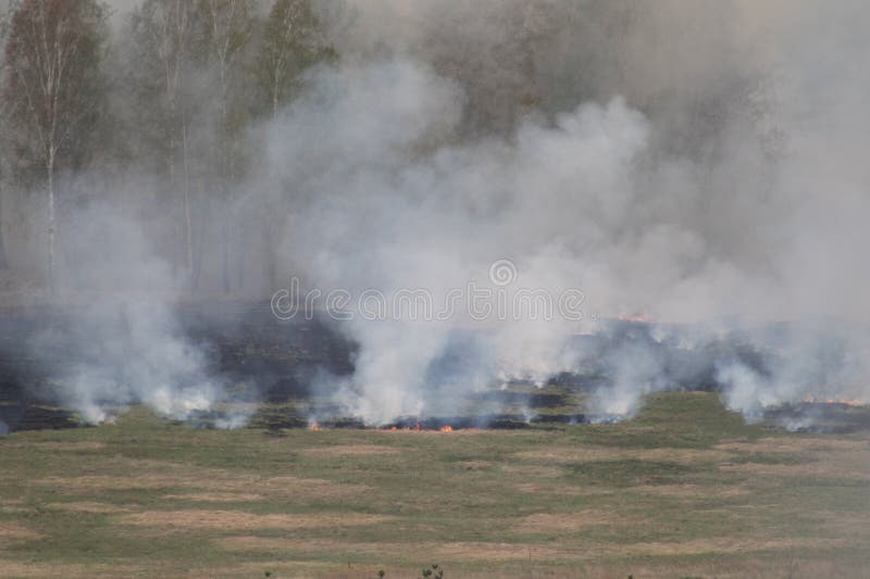 Fire Burning in Dry Grass Field Stock Image - Image of environmental ...