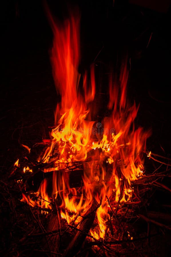 605 Fire Crest Photos - Free & Royalty-Free Stock Photos from Dreamstime