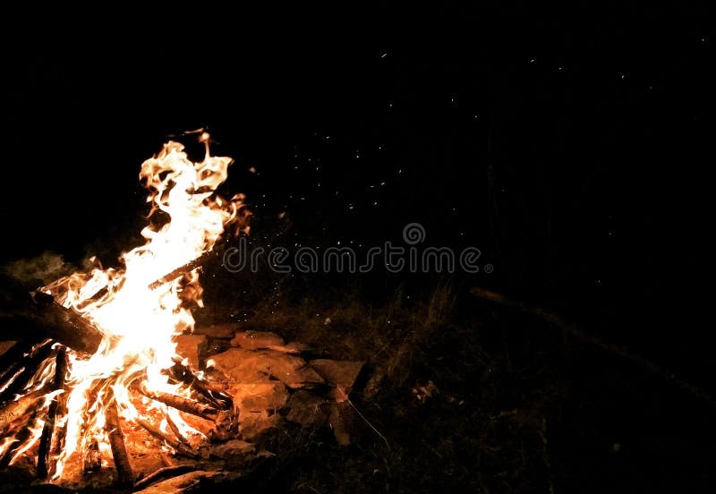 794 Fireflies Night Photos - Free & Royalty-Free Stock Photos from ...