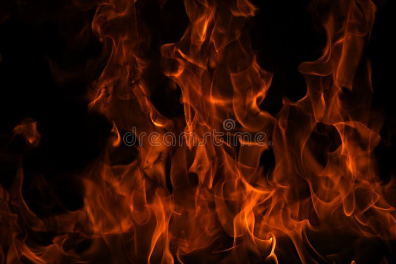 The Fire, Burning Flame. Large Burning Flaming Fire. Stock Image ...