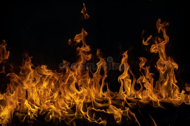 The Fire, Burning Flame. Large Burning Flaming Fire. Stock Image ...
