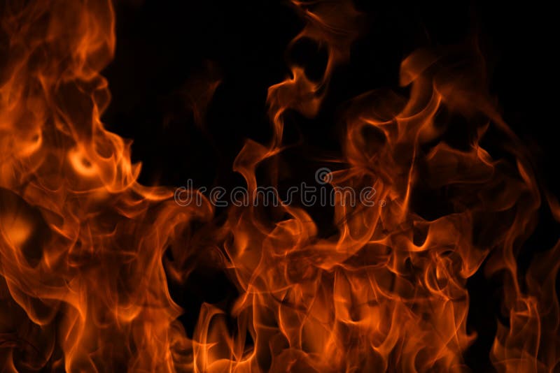 The Fire, Burning Flame. Large Burning Flaming Fire. Stock Photo ...