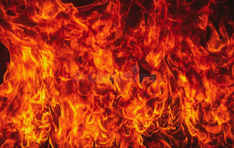 The Fire, Burning Flame. Large Burning Flaming Fire. Stock Photo ...
