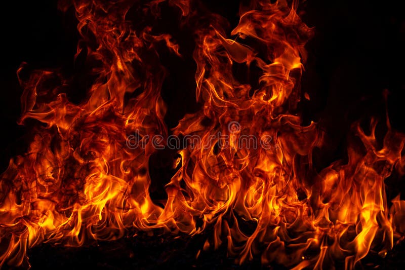 The Fire, Burning Flame. Large Burning Flaming Fire. Stock Photo ...