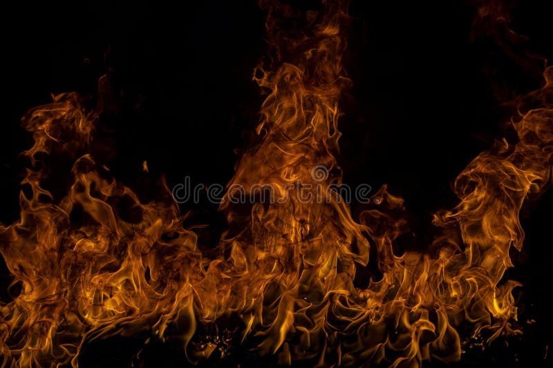 The Fire, Burning Flame. Large Burning Flaming Fire. Stock Image ...