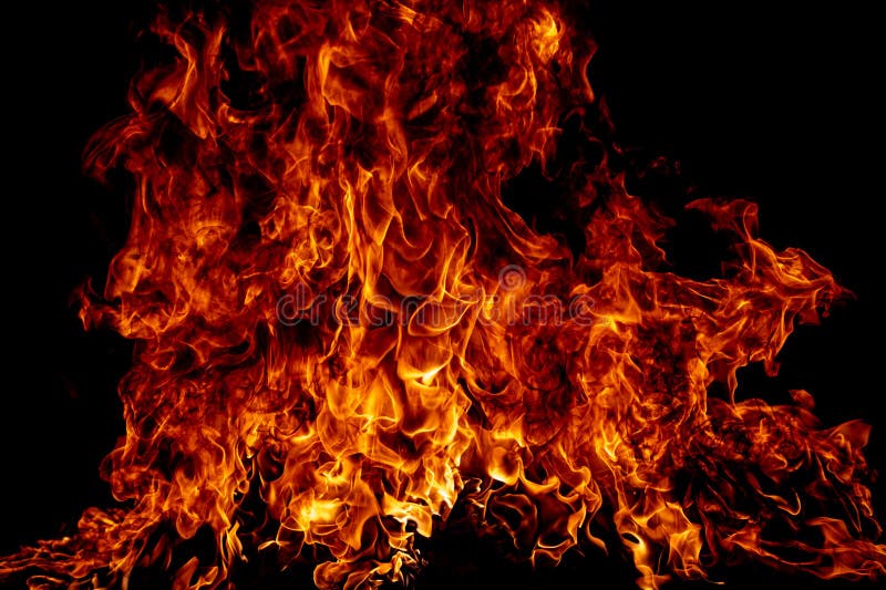 The Fire, Burning Flame. Large Burning Flaming Fire. Stock Photo ...