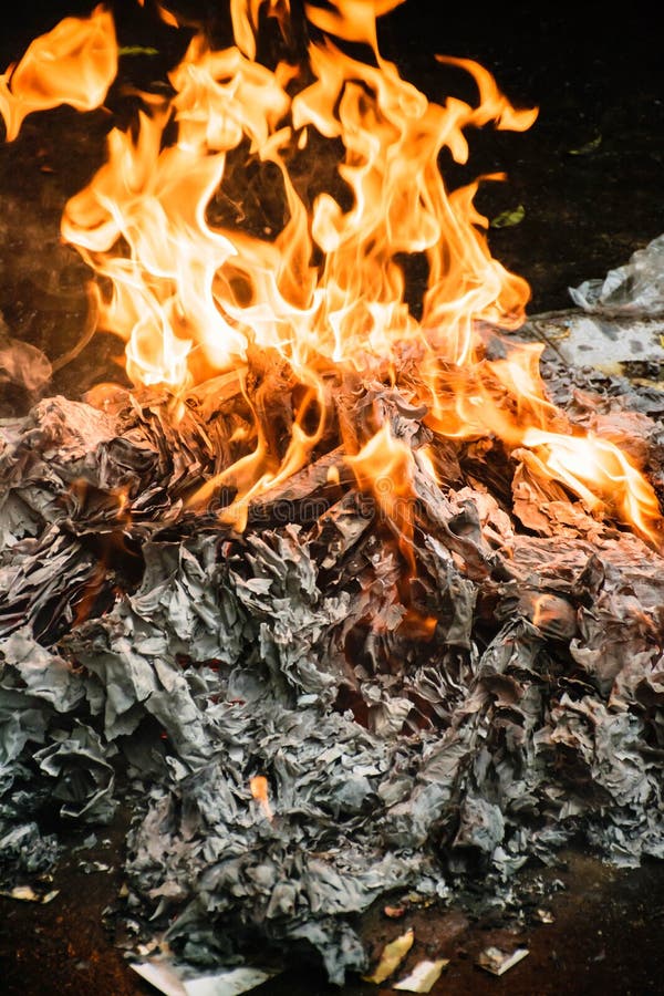 Fire burning stock photo. Image of firewood, bonfire - 66879716