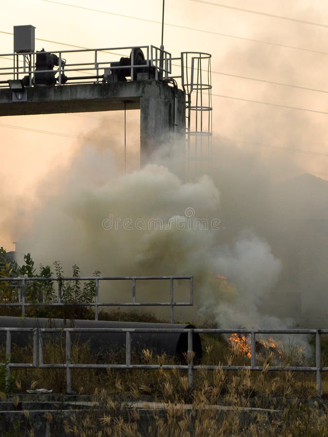 Fire burning stock photo. Image of contamination, danger - 55071230