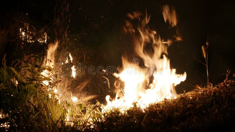 Burning Grass on Field at the Night. Firefighters Fighting a Fire with ...