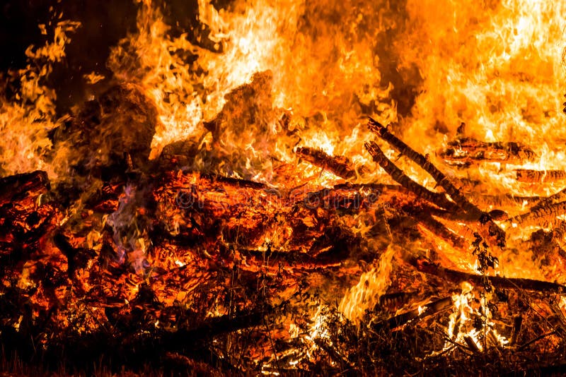 Fire, Burning Grass and Trees. Stock Image - Image of energy, exploding ...