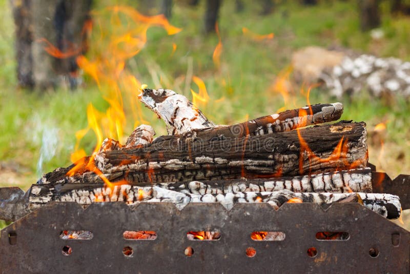 A Fire is Burning in the Grill for Cooking. Stock Photo - Image of ...