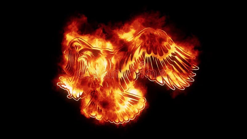 Fire Burning Hawk Logo Looping Animation Graphic Element Stock Footage ...