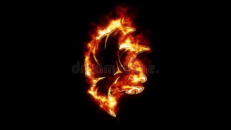 Fire Burning Hawk Logo Looping Animation Graphic Element Stock Footage ...