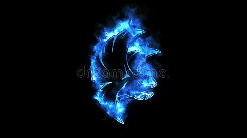 Fire Burning Hawk Logo Looping Animation Graphic Element Stock Footage ...