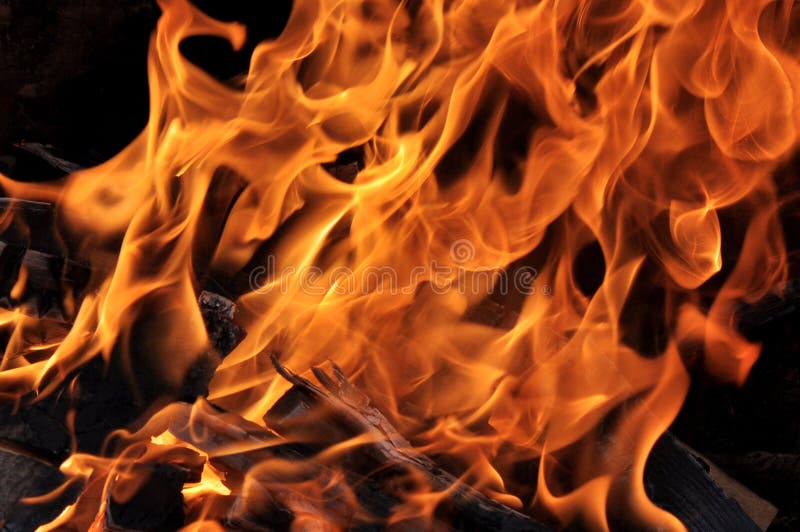 Fire with logs stock photo. Image of close, burning - 109157970