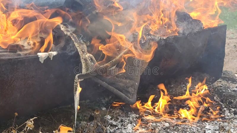 Fire, Burning and Melting of Plastic Stock Video - Video of danger ...