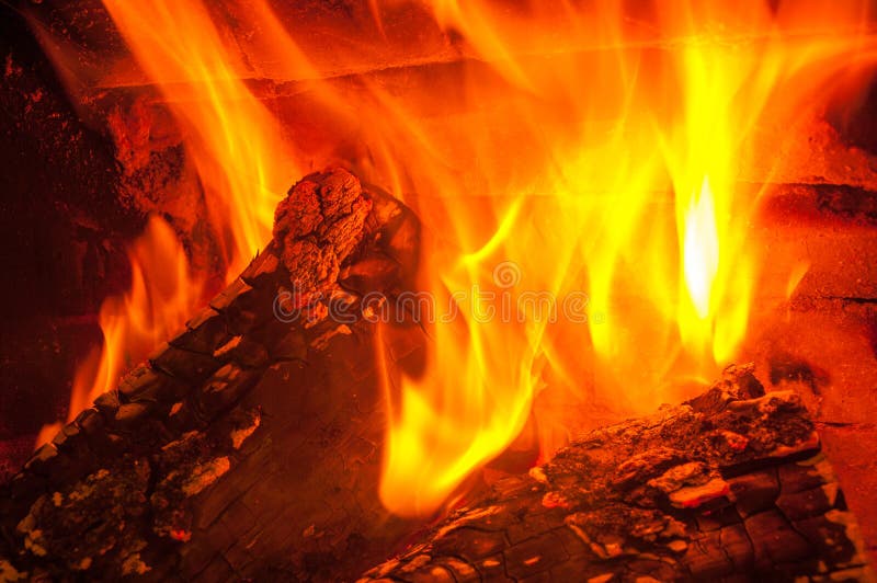 418 Crest Flame Photos - Free & Royalty-Free Stock Photos from Dreamstime