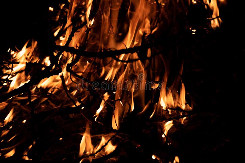 A Fire is Burning at Night. Fine Branches on Fire Stock Image - Image ...