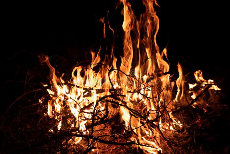A Fire is Burning at Night. Fine Branches on Fire Stock Image - Image ...