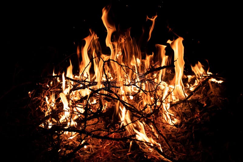 A Fire is Burning at Night. Fine Branches on Fire Stock Image - Image ...