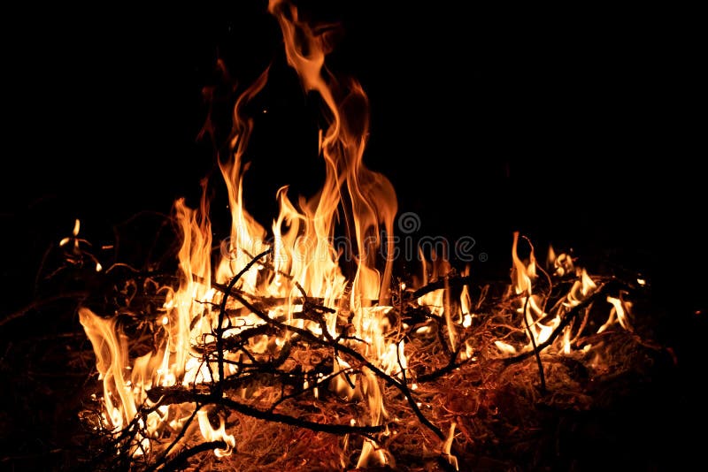 A Fire is Burning at Night. Fine Branches on Fire Stock Photo - Image ...