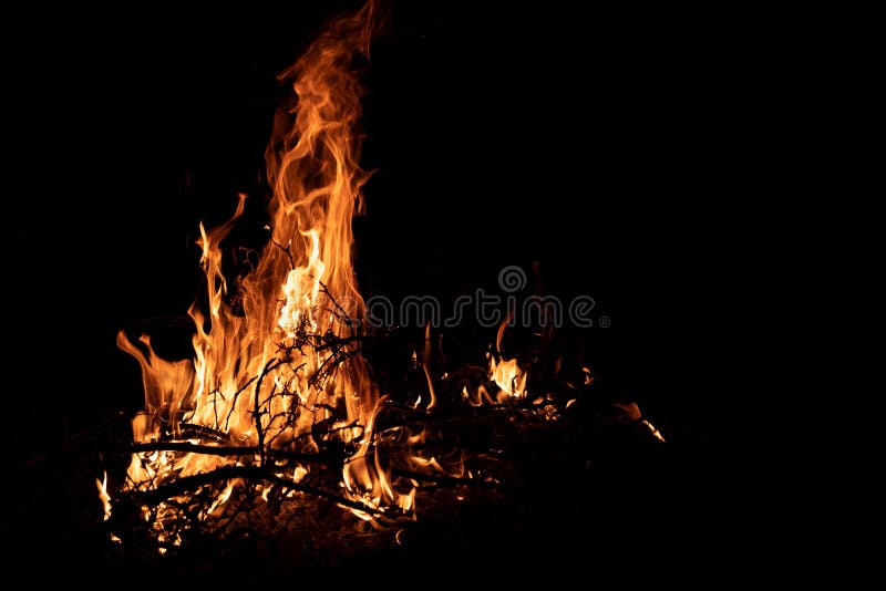 A Fire is Burning at Night. Fine Branches on Fire Stock Photo - Image ...