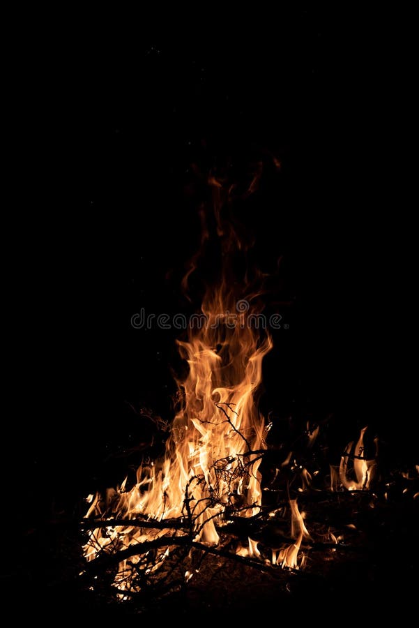 A Fire is Burning at Night. Fine Branches on Fire Stock Photo - Image ...
