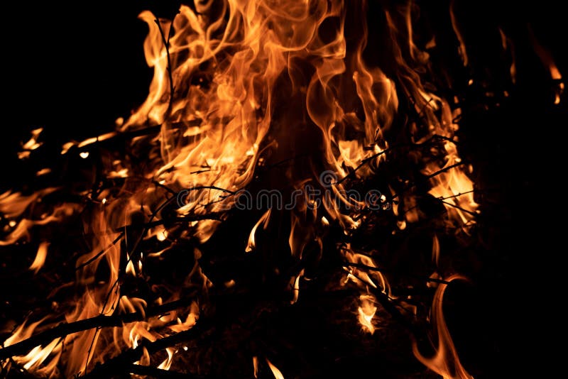 A Fire is Burning at Night. Fine Branches on Fire Stock Photo - Image ...