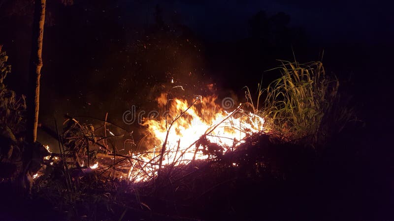 Fire Burning at Night stock photo. Image of campfire - 128387266
