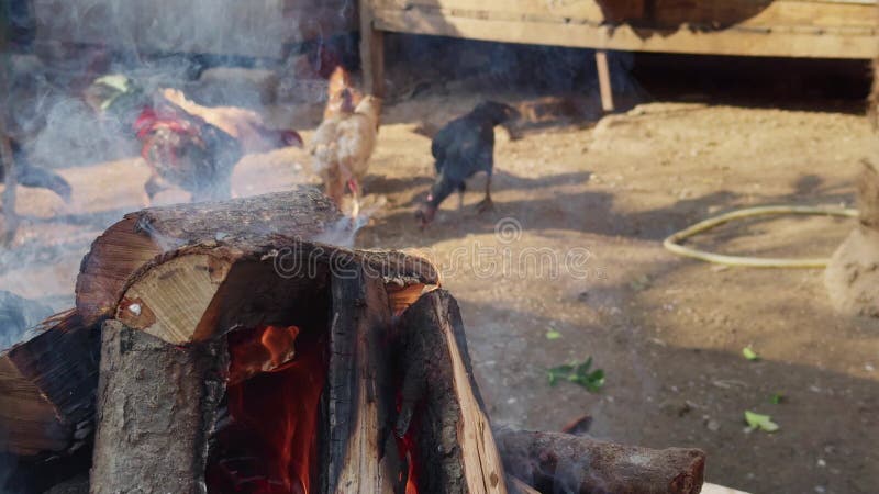 Burning Oak Wood in a Farmhouse Garden Stock Video - Video of burning ...