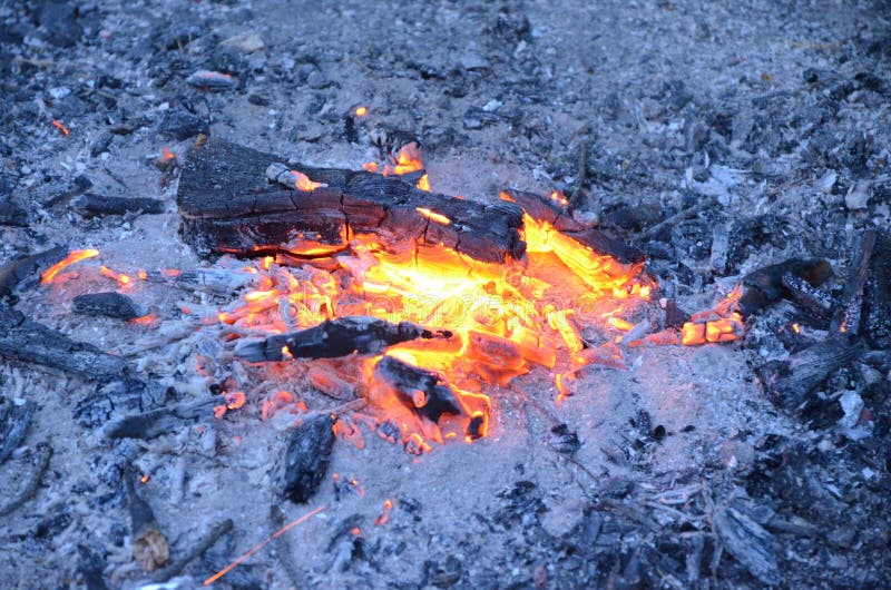 The Wood Coal Burns on Fire Stock Image - Image of burn, blacksmith ...