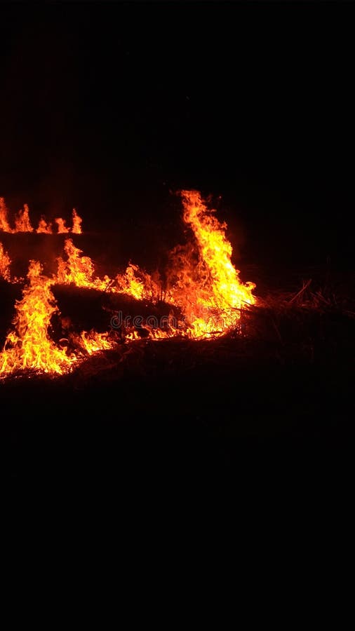 Grass fire stock image. Image of freeform, burn, burnt - 209695323