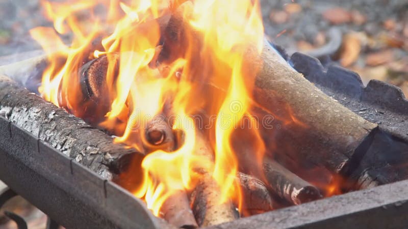 Fire Burning in Slow Motion with Wood Falling Stock Video - Video of ...
