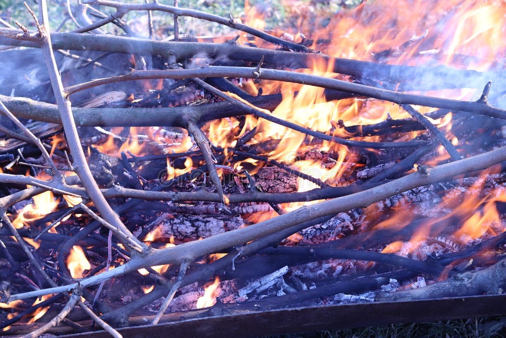A Fire is Burning in a Tin Trough Stock Image - Image of food, campfire ...