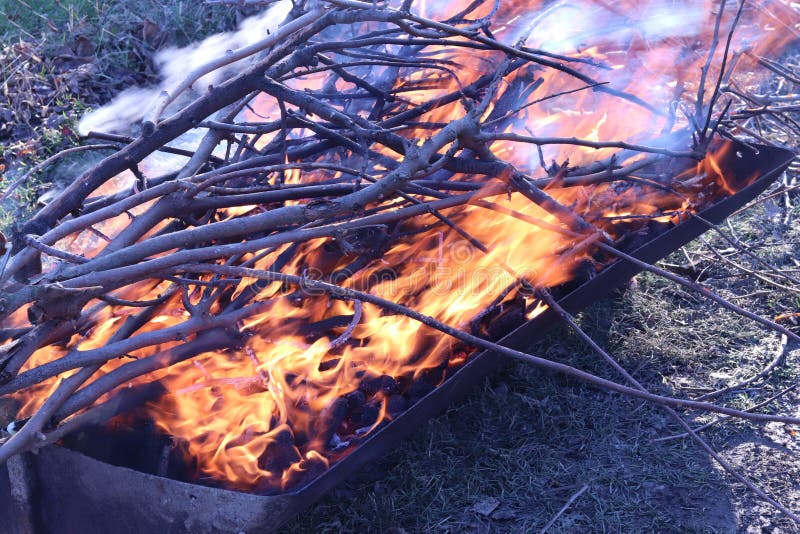 A Fire is Burning in a Tin Trough Stock Image - Image of dish, fire ...