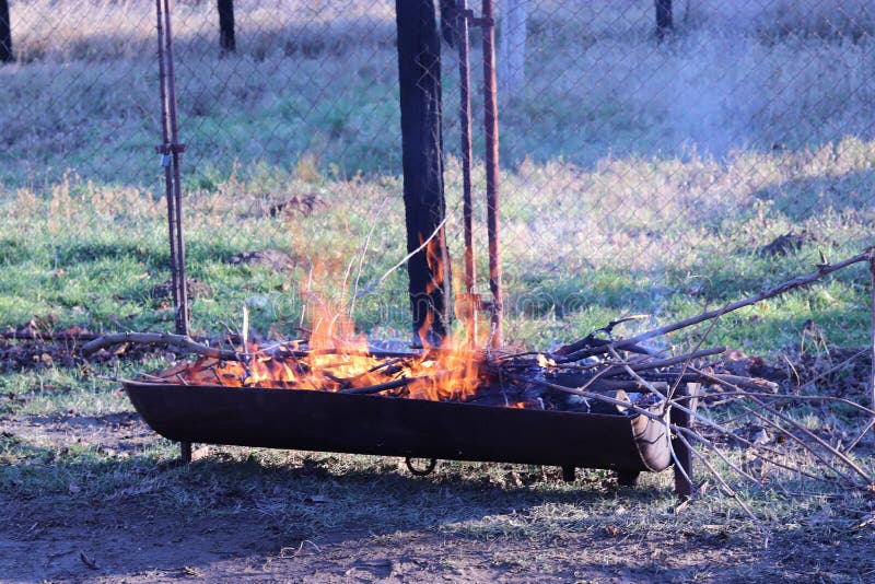 A Fire is Burning in a Tin Trough Stock Image - Image of fire, wetland ...