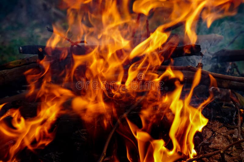 Fire Burning the Wooden Close Up View Stock Photo - Image of burning ...
