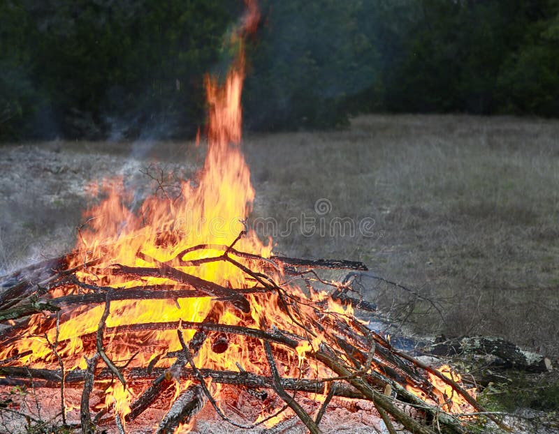 Fire stock photo. Image of nature, fire, bonfire, campfire - 181559640