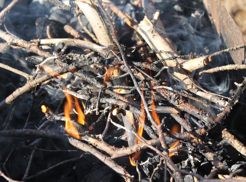 Fire burns stock photo. Image of light, smoke, fire, twigs - 38442332