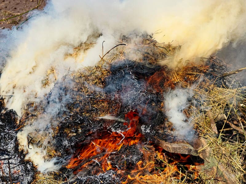 A Fire Burns Bright, Consuming Dry Branches and Grass Stock Image ...