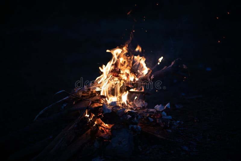 Fire Burns with a Bright Flame at Night. Branches and Wood are Burning ...
