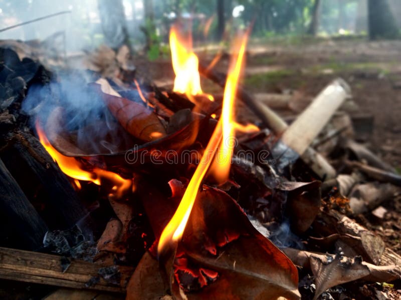 Fire Burns the Dried Leaves 2 Stock Photo - Image of dish, event: 182903560