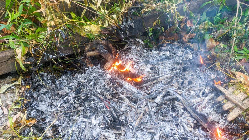 Fire Burns Grass stock photo. Image of blaze, heat, food - 286712010