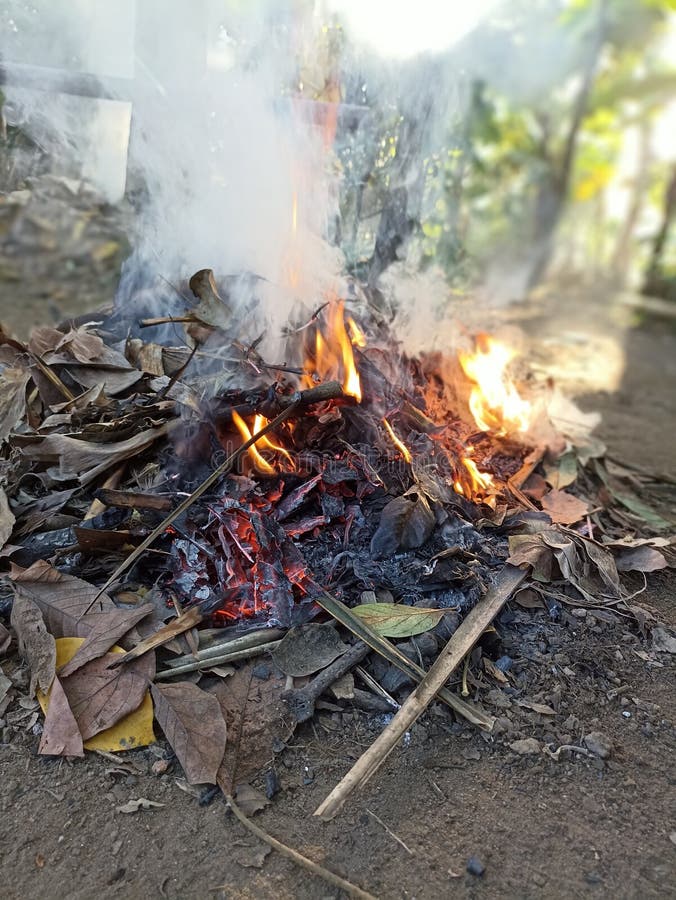 The Fire Burns the Leaf Litter Stock Image - Image of litter, asphalt ...