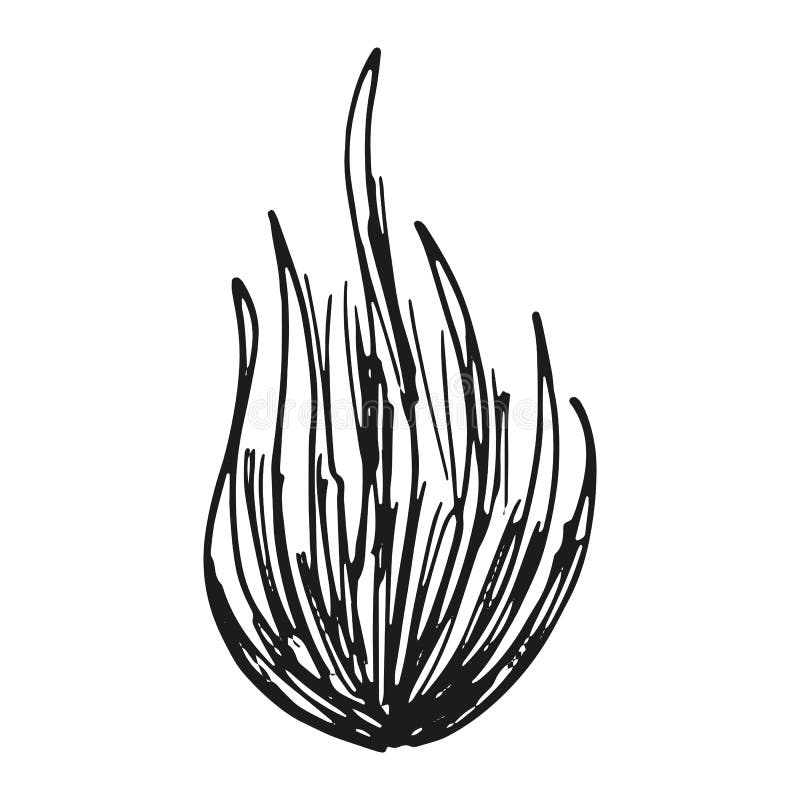 The Fire Burns Monochrome. Isolated Stock Vector - Illustration of ...
