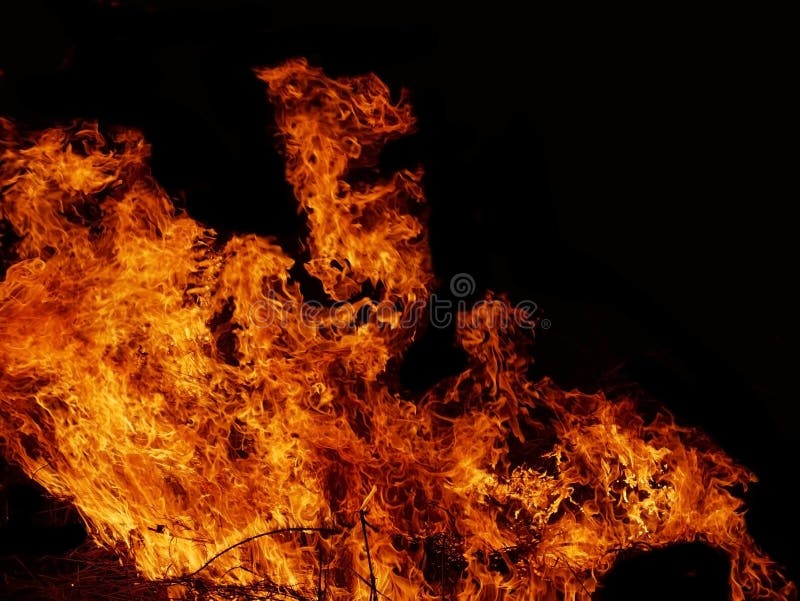 The Fire Burns Rice Straw and Hay in the Field at Night Stock Image ...