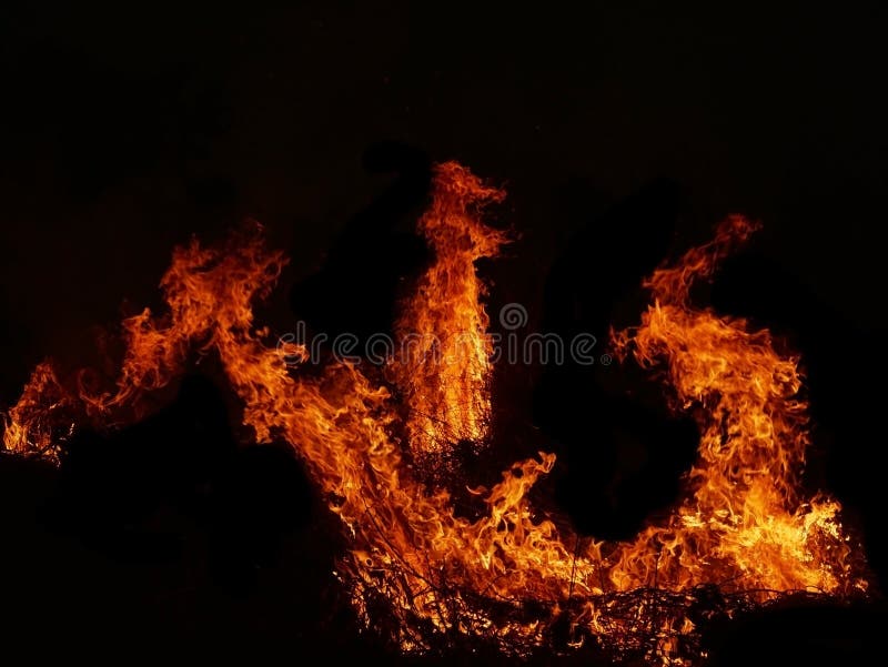 The Fire Burns Rice Straw and Hay in the Field at Night Stock Image ...